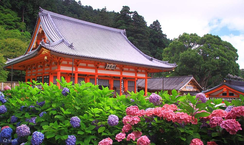 Fireworks Only - Osaka Minoh & Naniwa Yodogawa Fireworks Festival Day ...